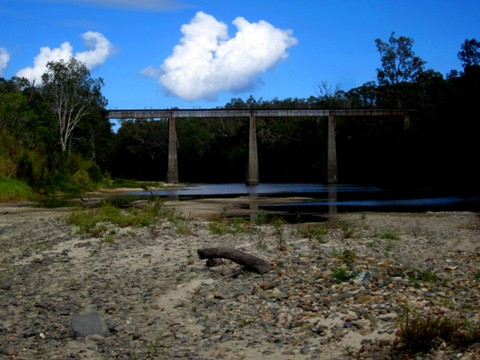 Winning artwork depicts mangroves: amazing ecosystems where the land ...