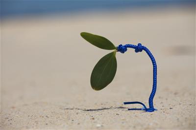 Catholics to show support for child abuse survivors through Blue Knot ...