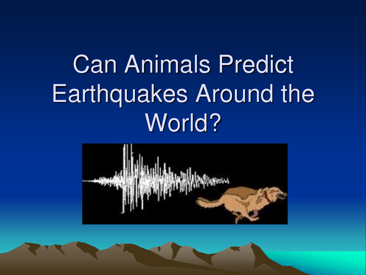 Disaster prediction: 10 helpful animals to consider | ChristianToday ...