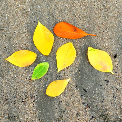 Intangibles - Things in life | ChristianToday Australia
