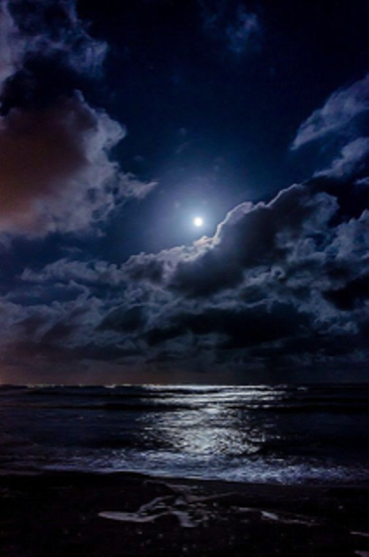 Moonlight | ChristianToday Australia