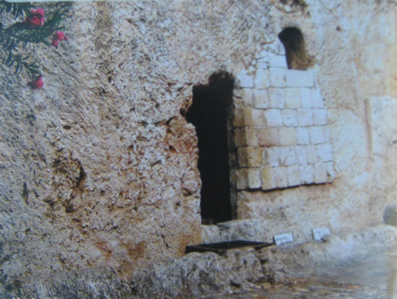 Plant The Cross | ChristianToday Australia