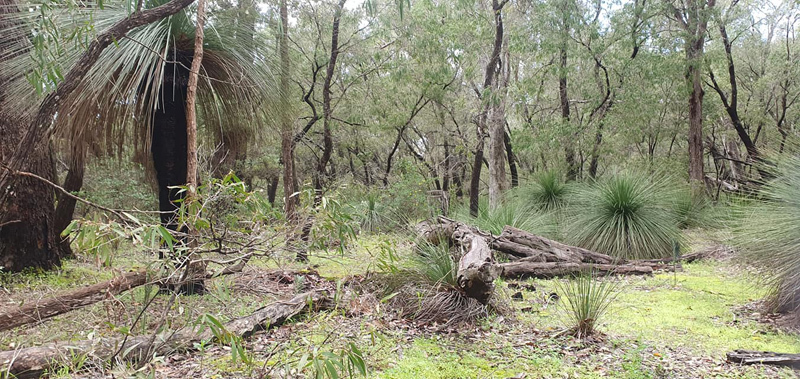 I hear the sound of an army rising | ChristianToday Australia