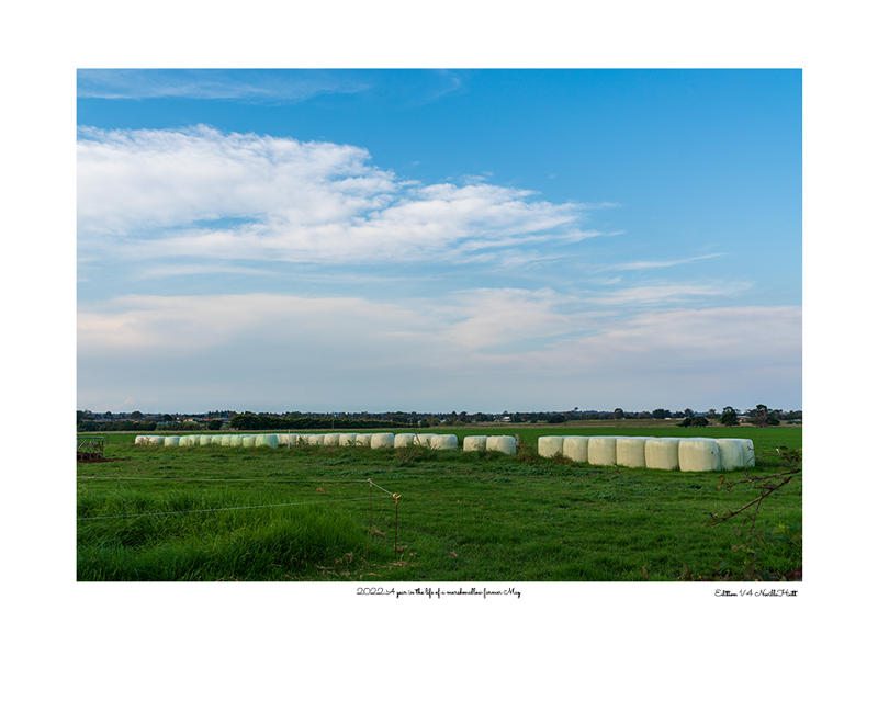 Have you seen a marshmallow farm | ChristianToday Australia