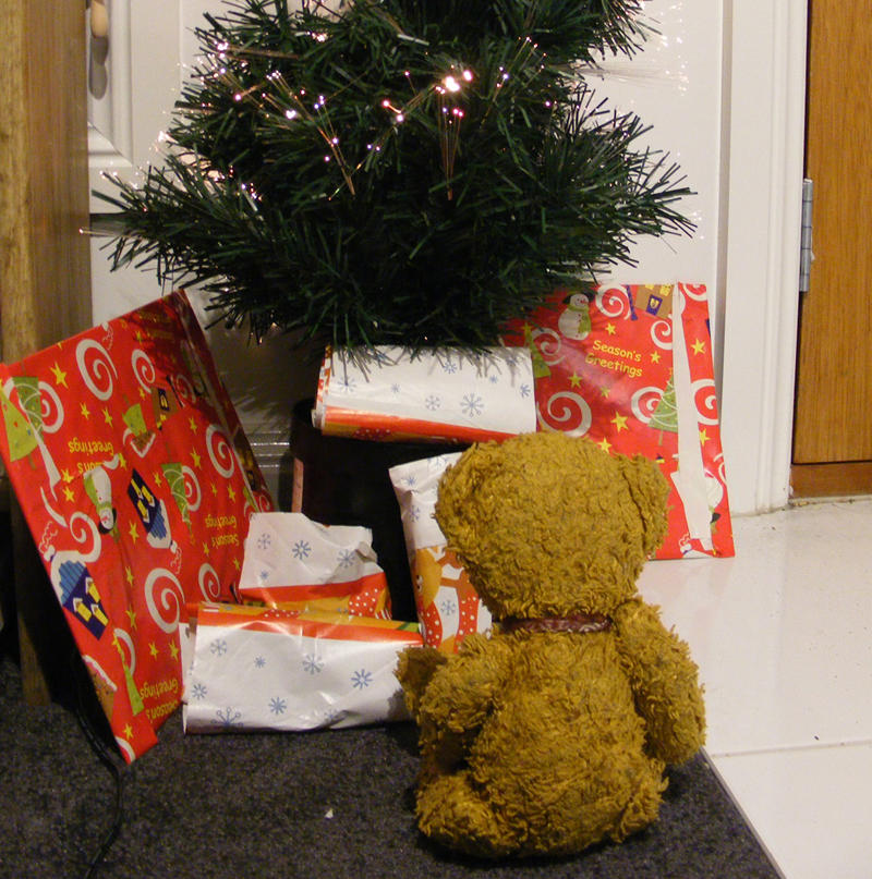 Teddy’s First Christmas | ChristianToday Australia