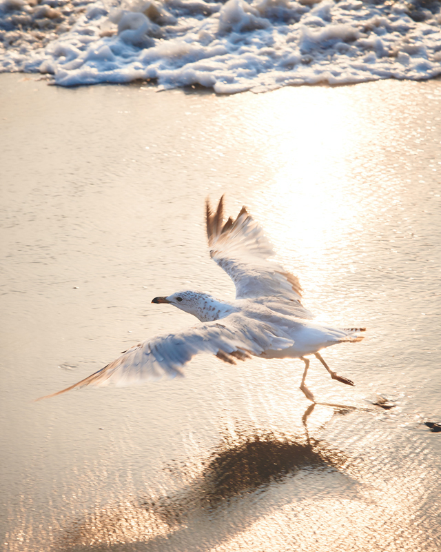 Dr Mark Tronson has something to pass on | ChristianToday Australia